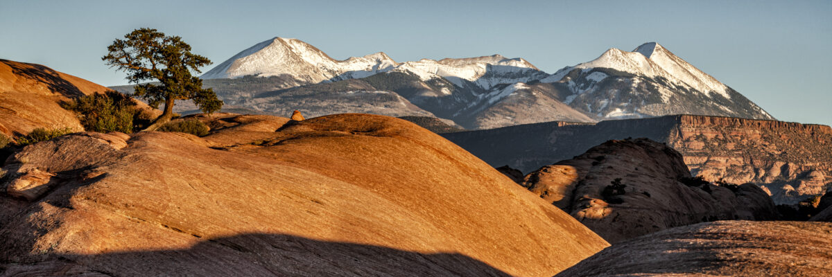 “Desert Guardian” Sand Flats, Moab, Utah – Howard Blichfeldt Photography